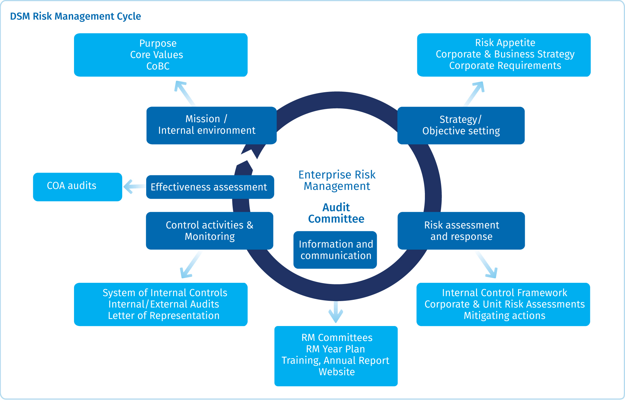 Risk Management DSM Annual Report